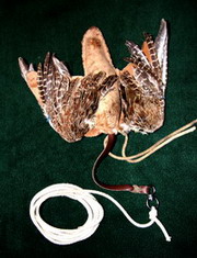 Falconry Equipment